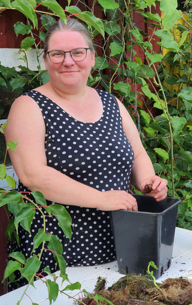 Den nye organisatoren i KVANN – K V A N N